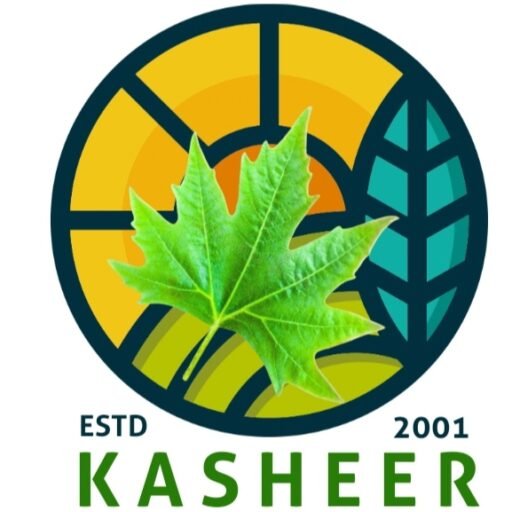 Shop - Kasheer Online